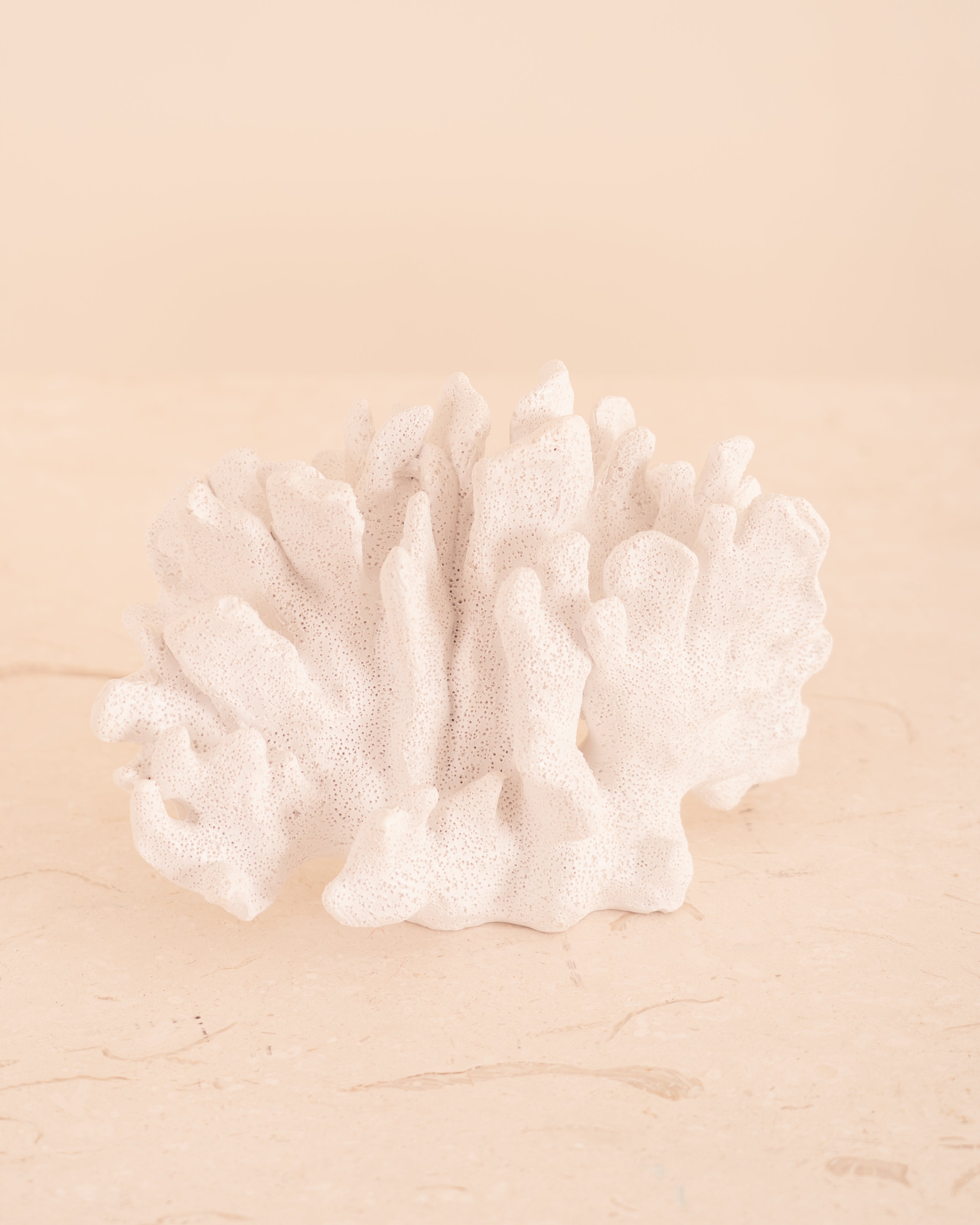 Coral Small – Borgia Conti
